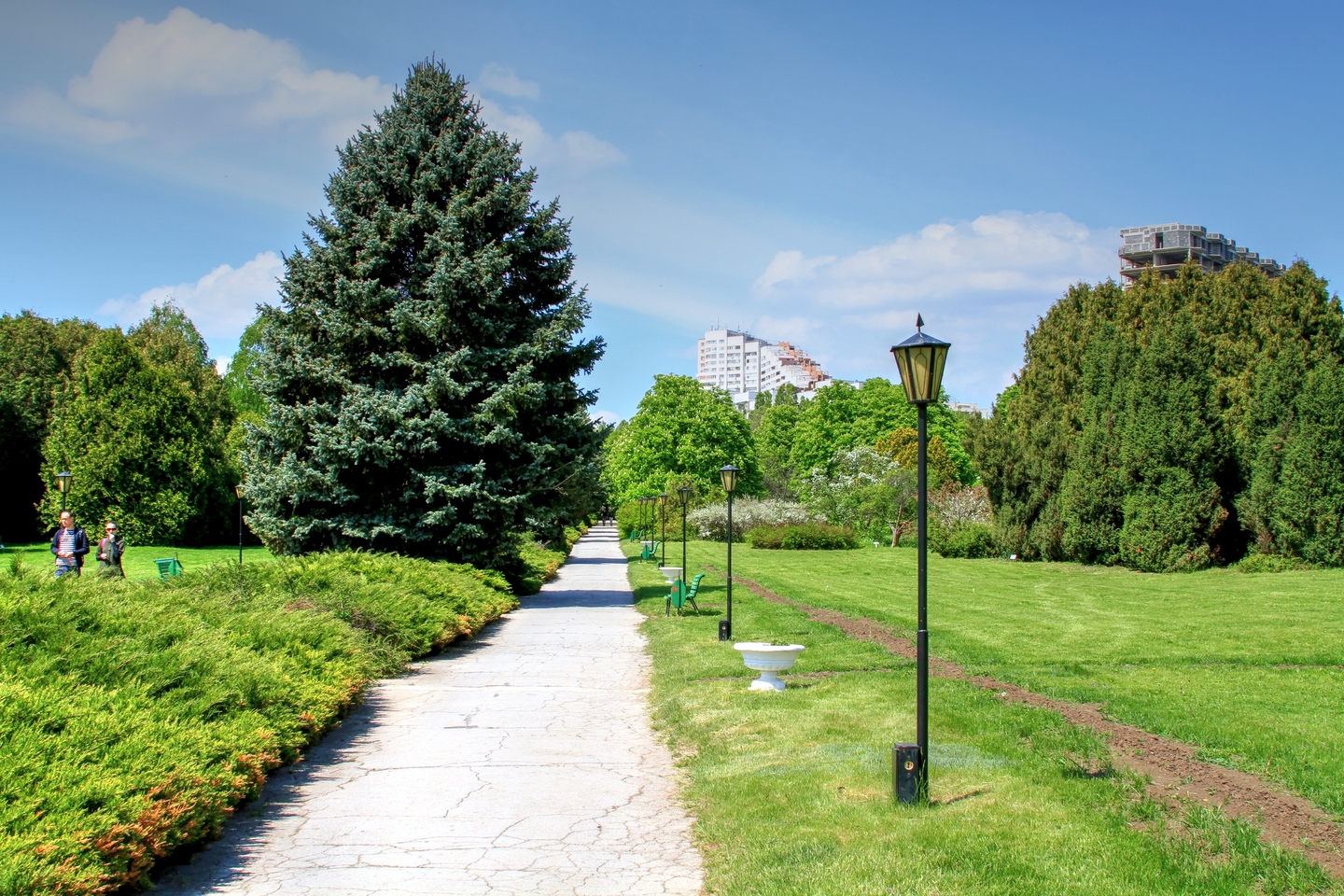 RLIVE! Plantarea a 12 arțari la Grădina Botanică din mun. Chișinău de ...