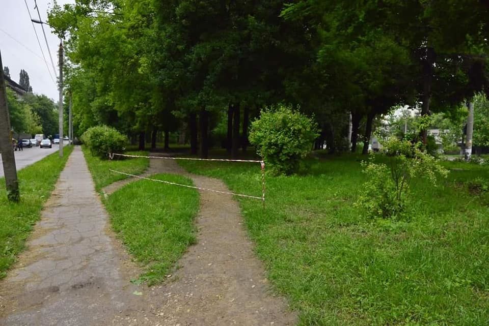 RLIVE! Campania de plantare a arborilor în orașul Chișinău, ediția 2022 ...